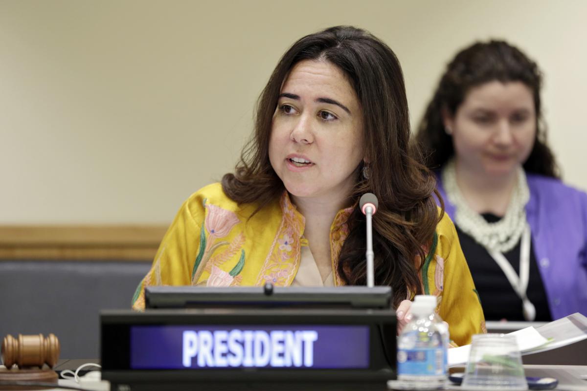 UAE Ambassador Nusseibeh Kicks-Off Annual Session of the UN Women ...