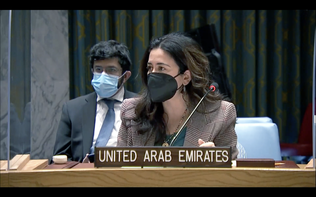 UAE Statement at the UN Security Council on Threats to International ...