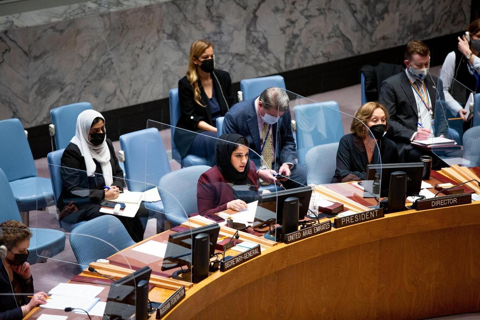 UAE Statement at the UN Security Council on the Situation in South ...