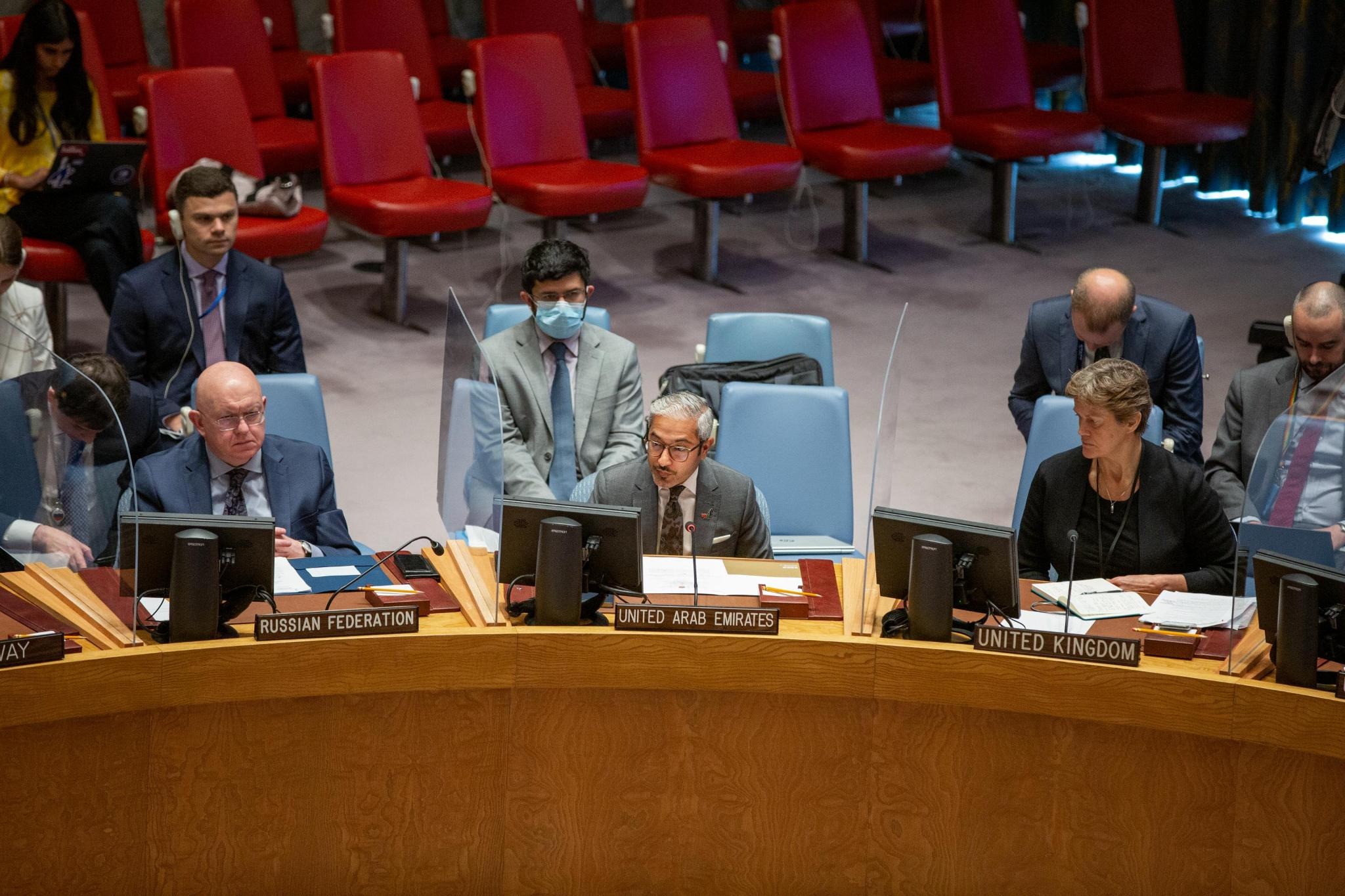 UAE Statement at the UN Security Council Meeting on Cooperation Between ...