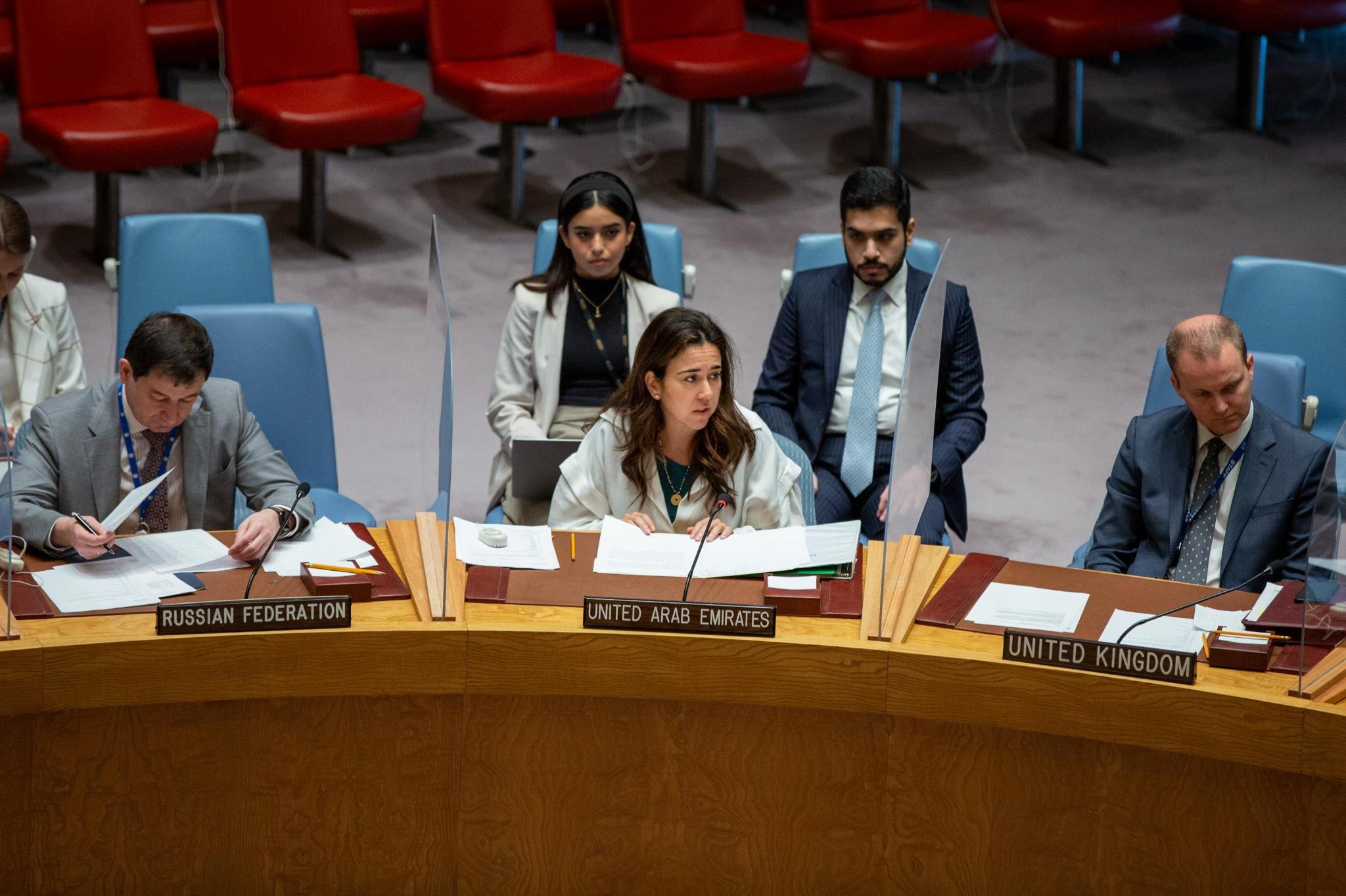 UAE Statement at the UN Security Council on the Implementation of ...
