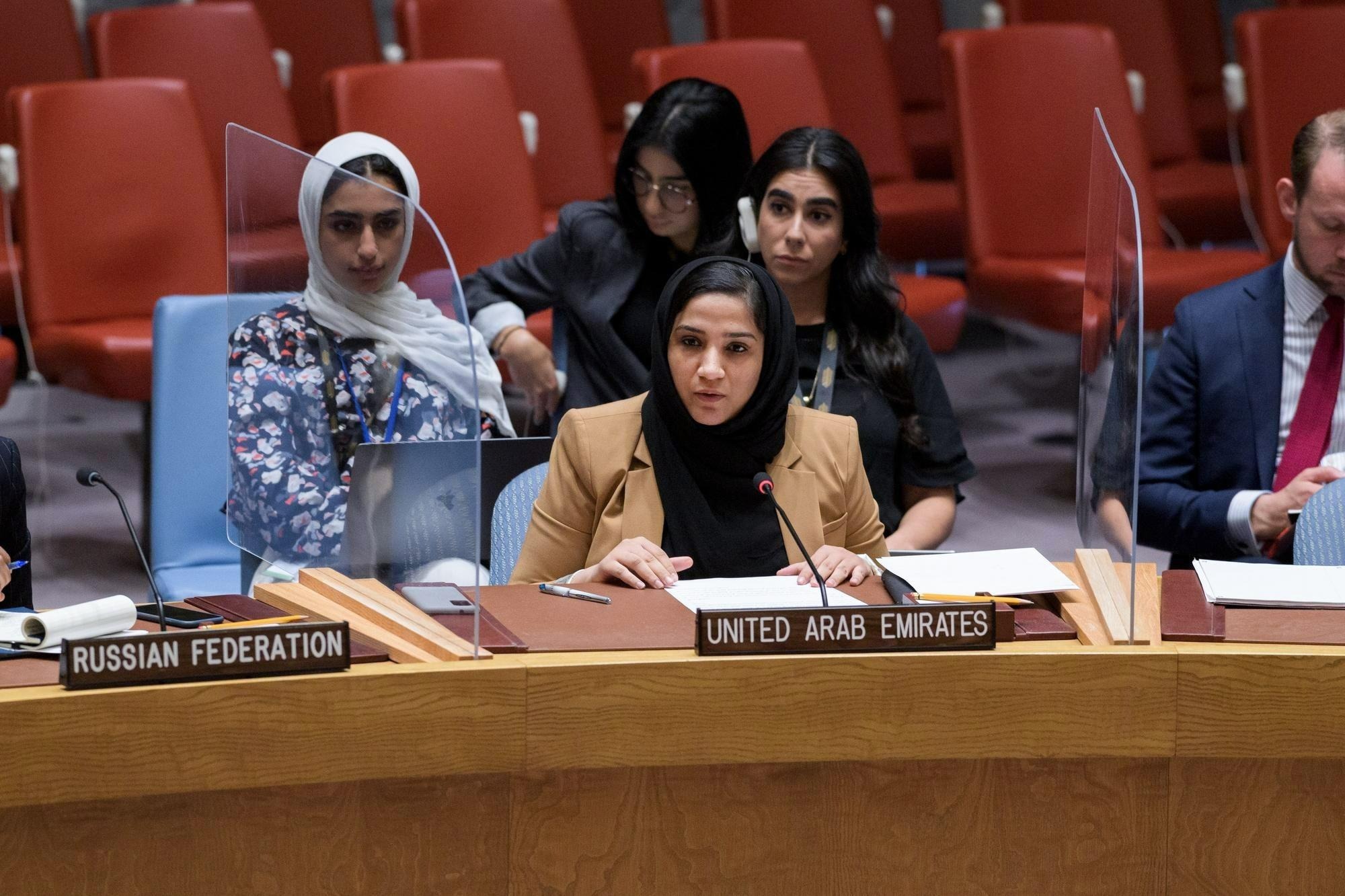 UAE Statement at the UN Security Council Meeting on Peacebuilding and ...