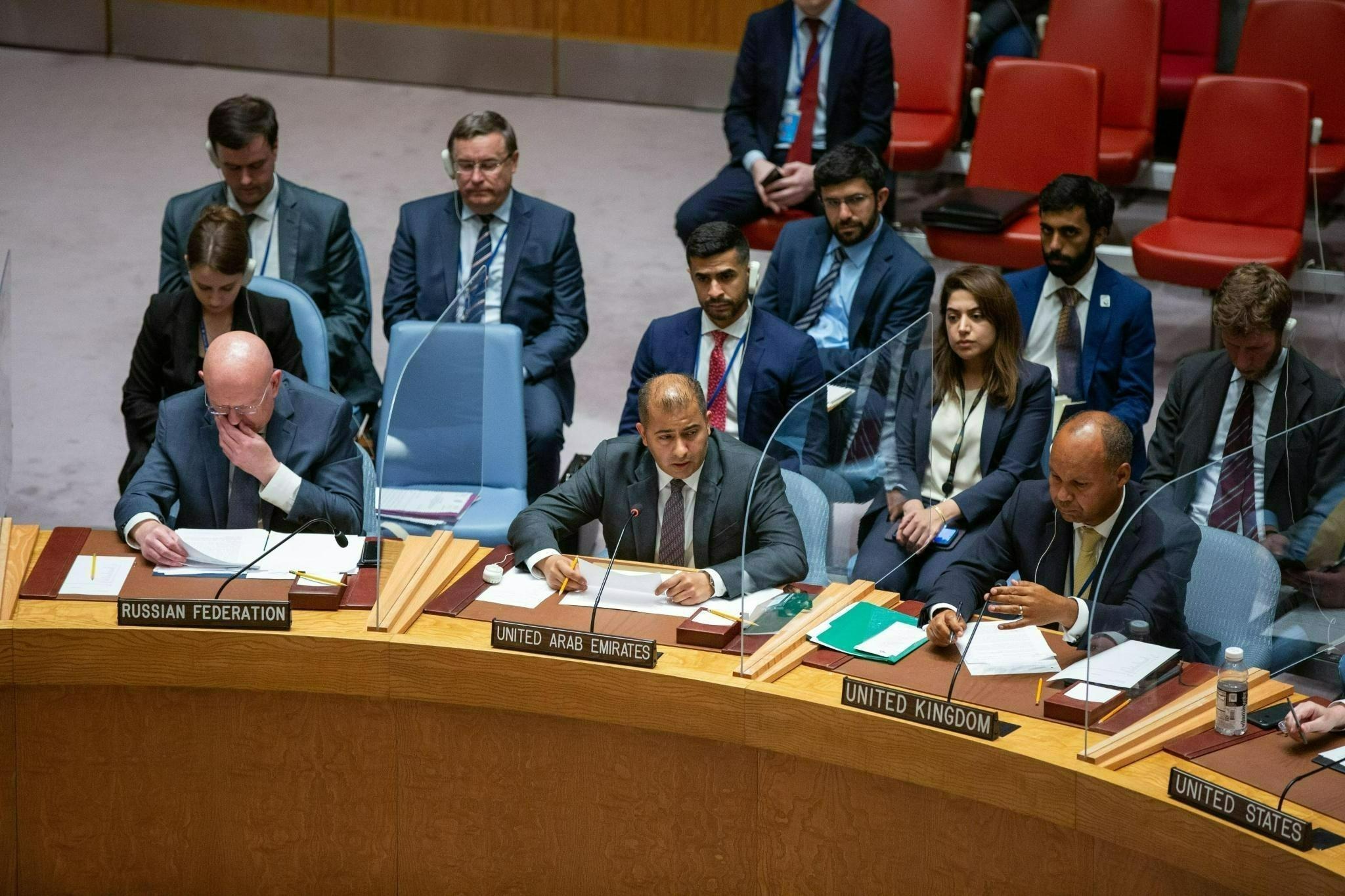 UAE Statement at the UN Security Council Briefing on Threats to ...