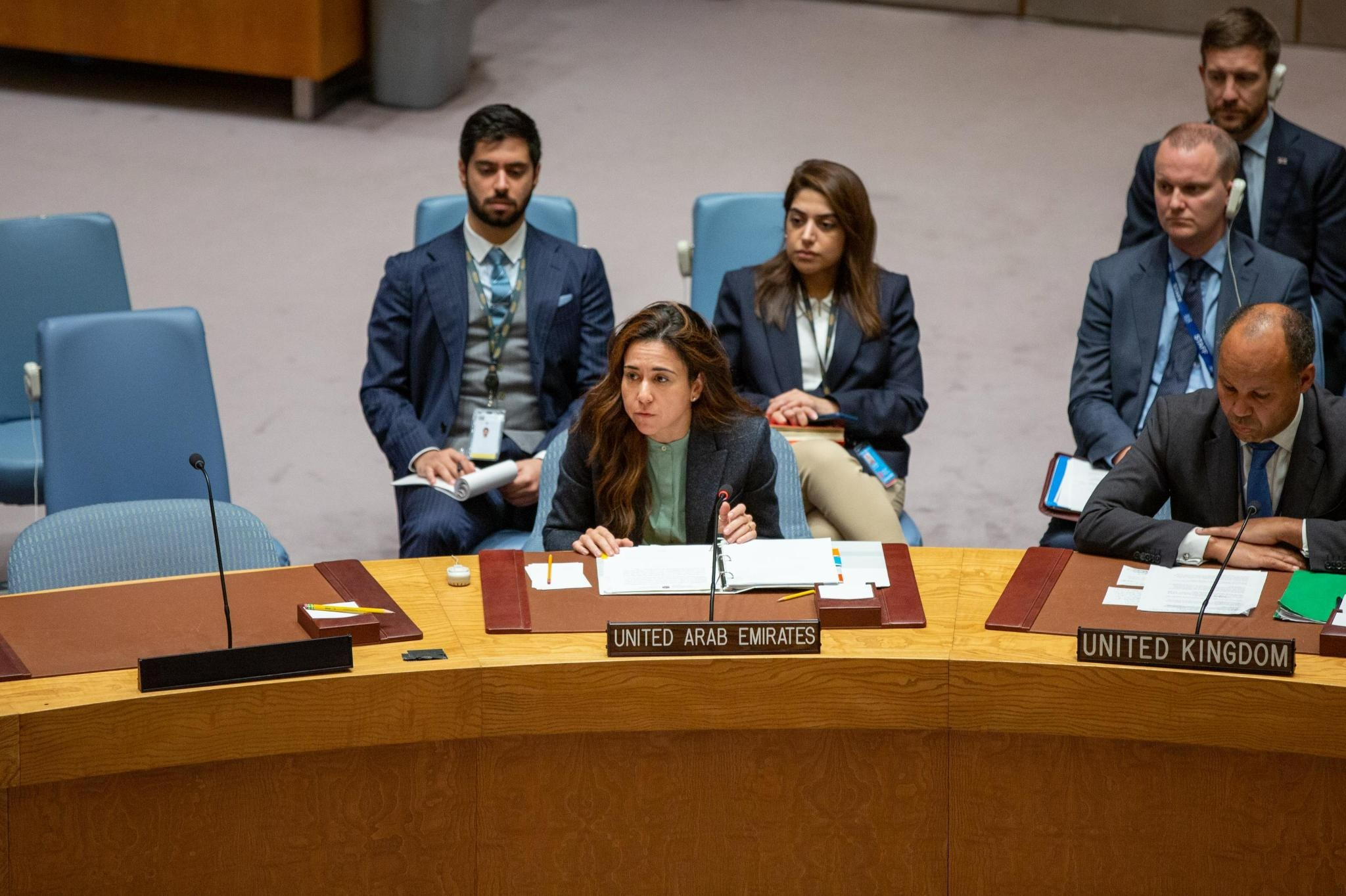 UAE Statement at the UN Security Council Meeting on the Maintenance of ...