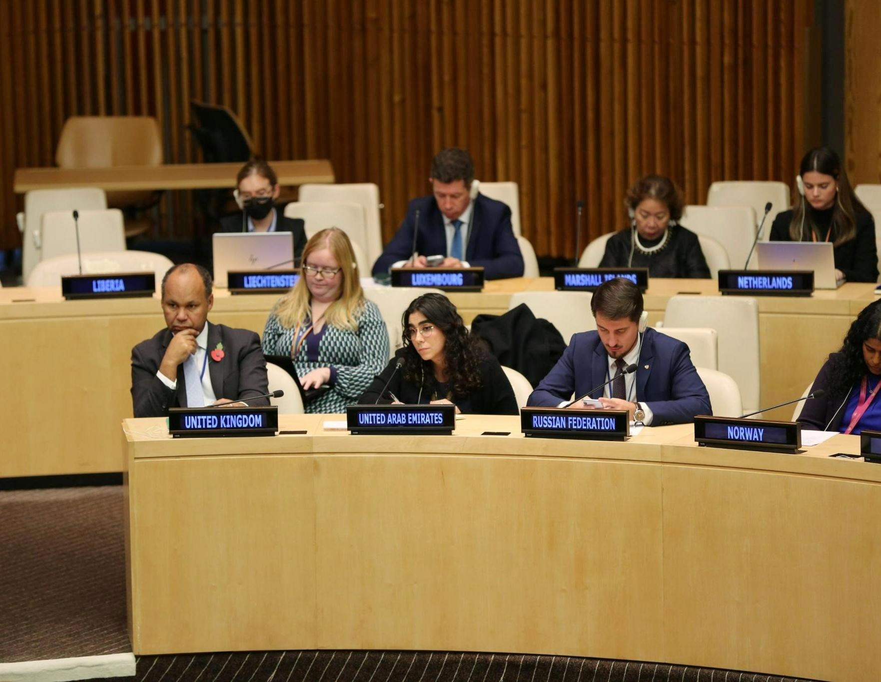 UAE Statement at the Security Council Arria-Formula Meeting on the ...