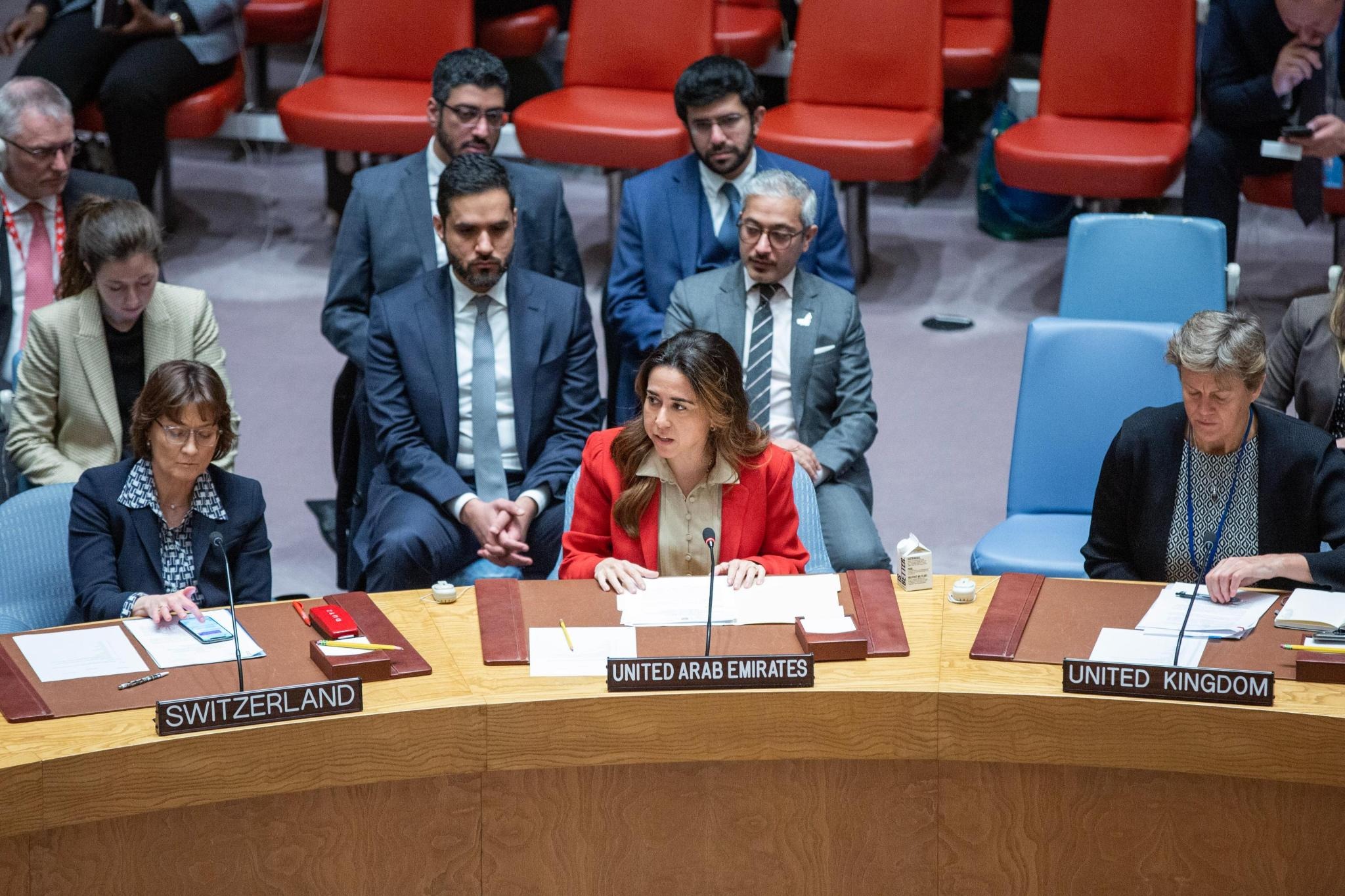 UAE Statement at the UN Security Council Meeting on Cooperation Between ...
