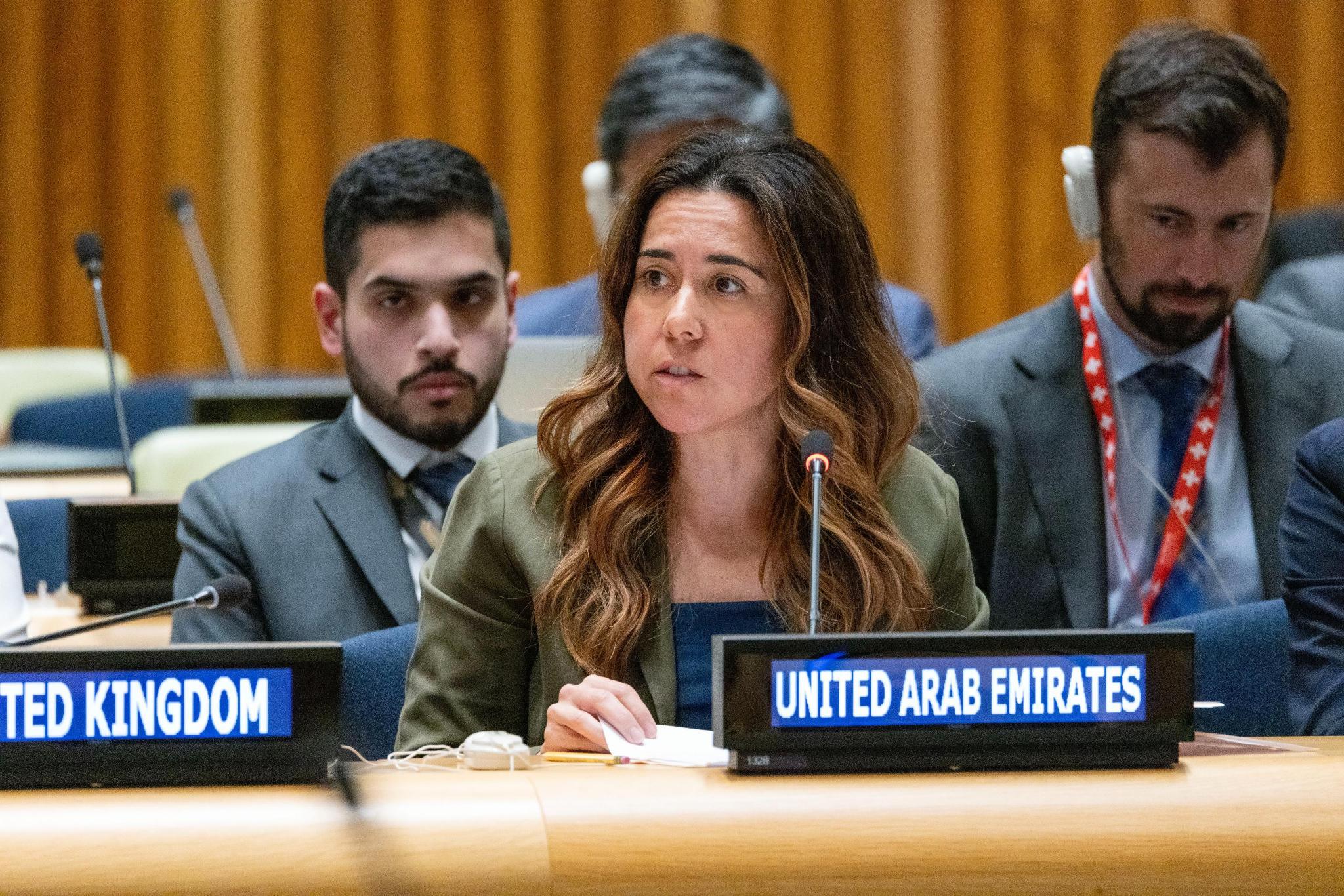 UAE Statement at the UN Security Council Arria-formula Meeting on ...