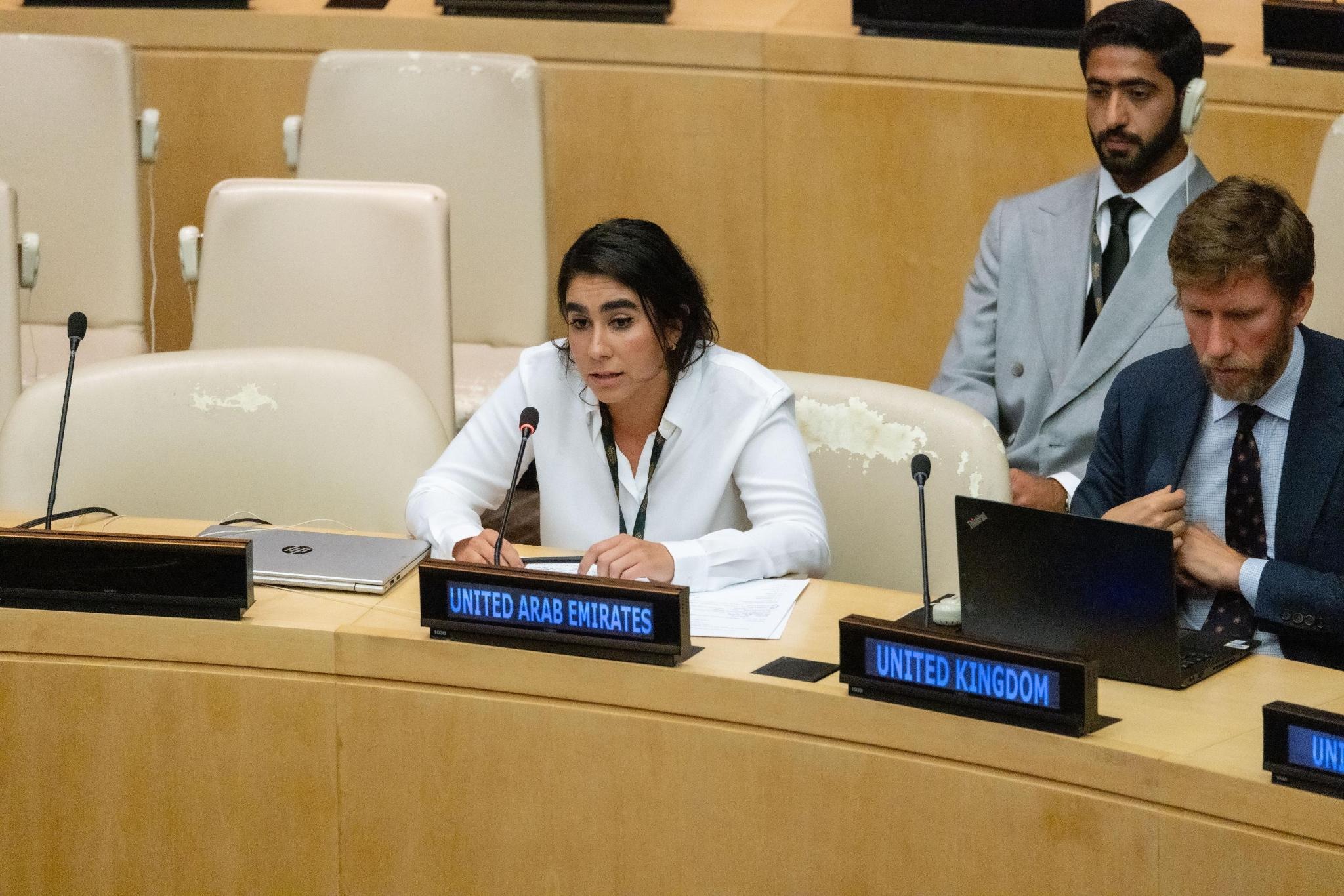 UAE Statement at the UN Security Council Arria-formula Meeting on ...