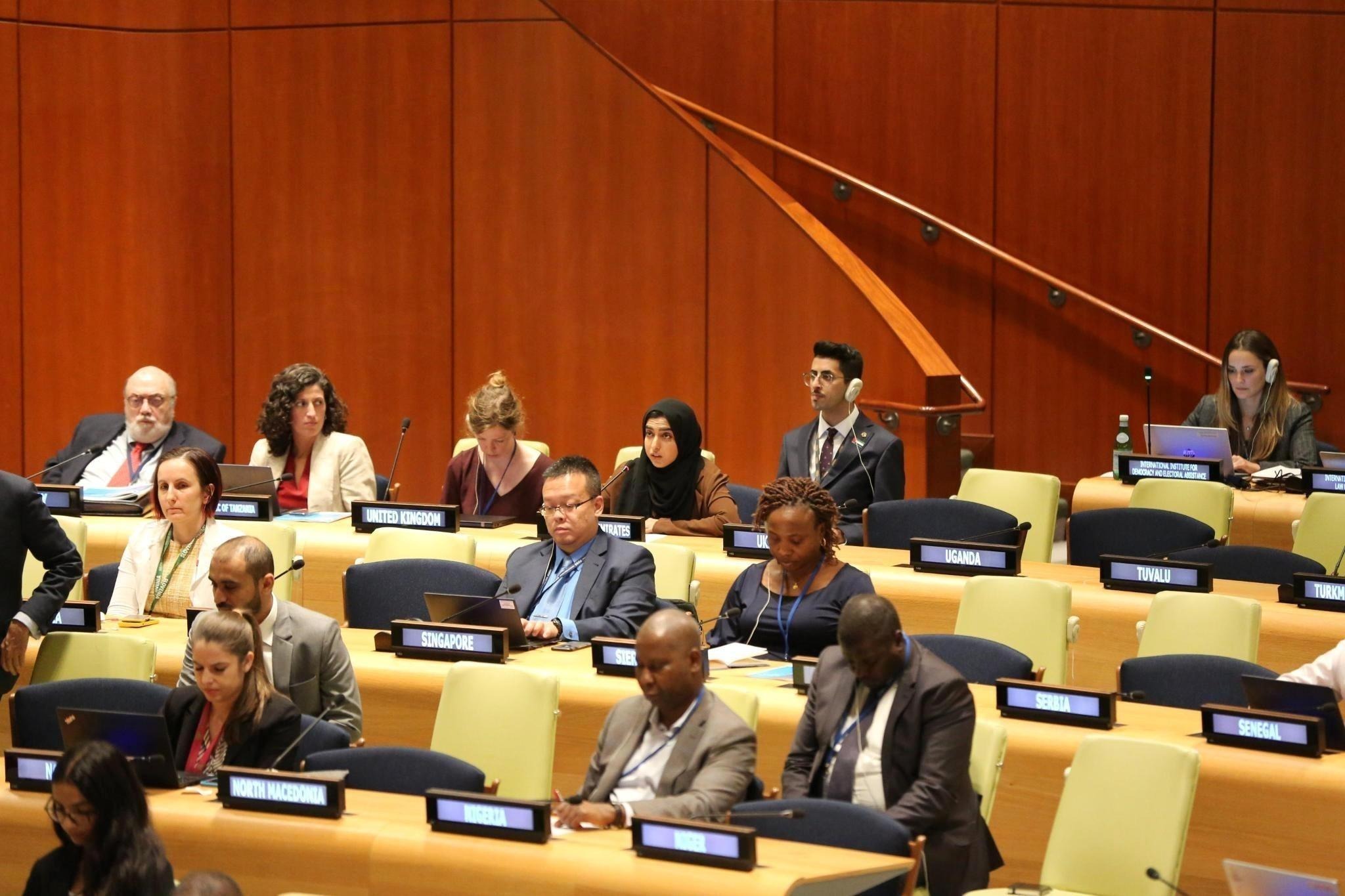 UAE Statement at the UN Secretary-General Briefing on the Our Common ...