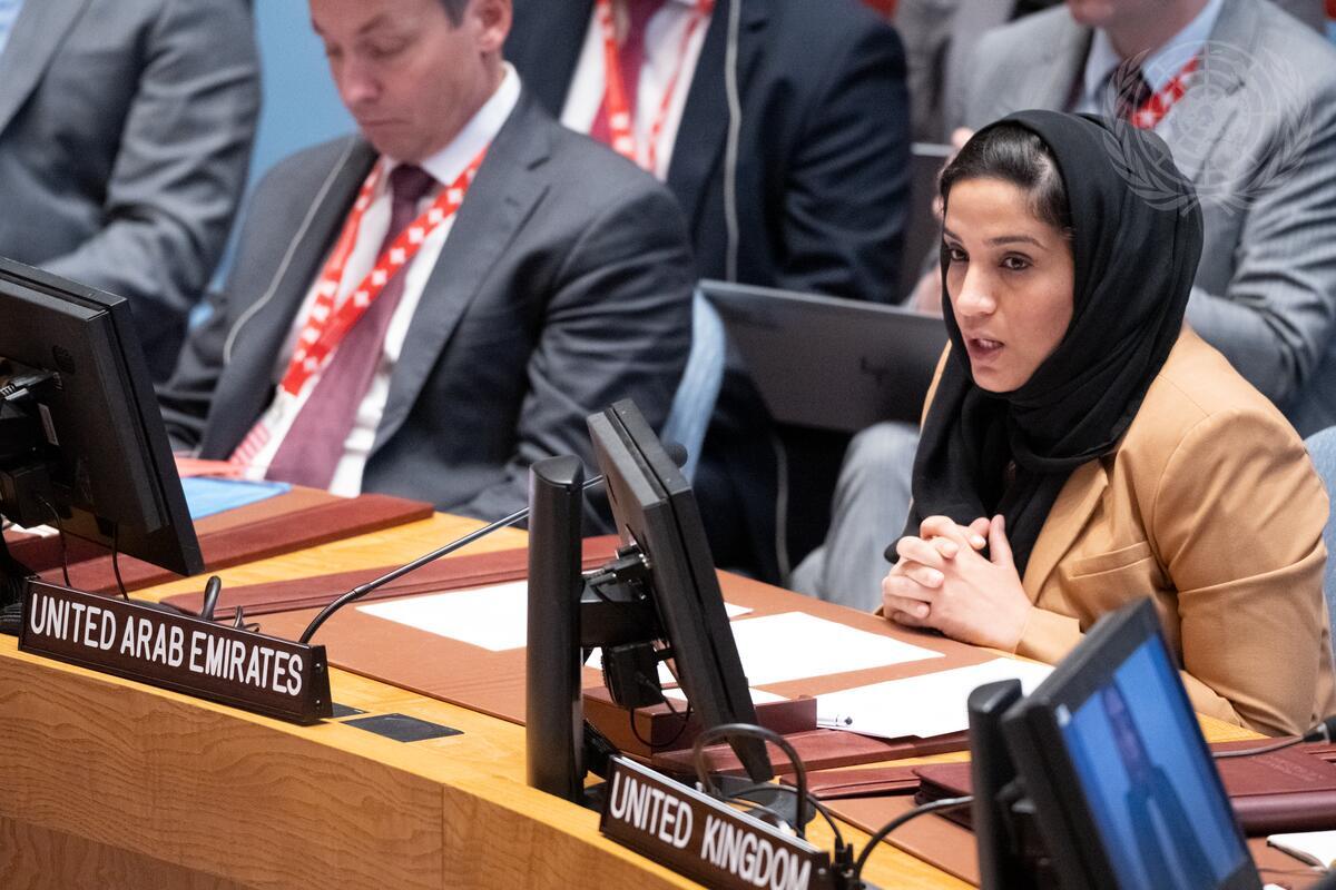 UAE Statement at the UN Security Council Meeting on Threats to ...