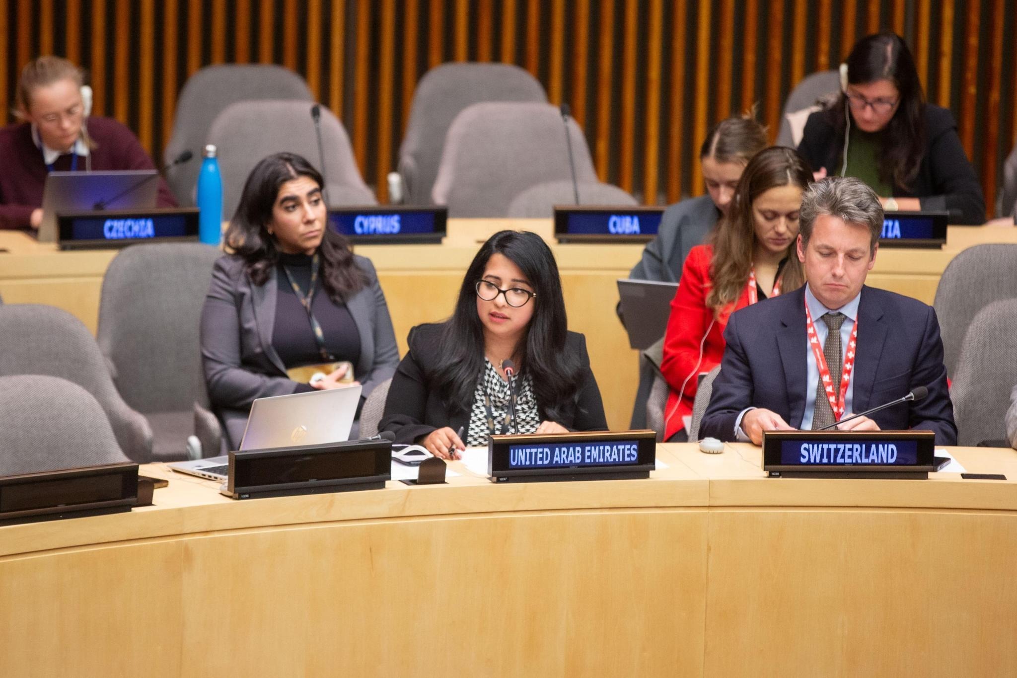 UAE Statement at the UN Security Council Arria-formula Meeting on ...