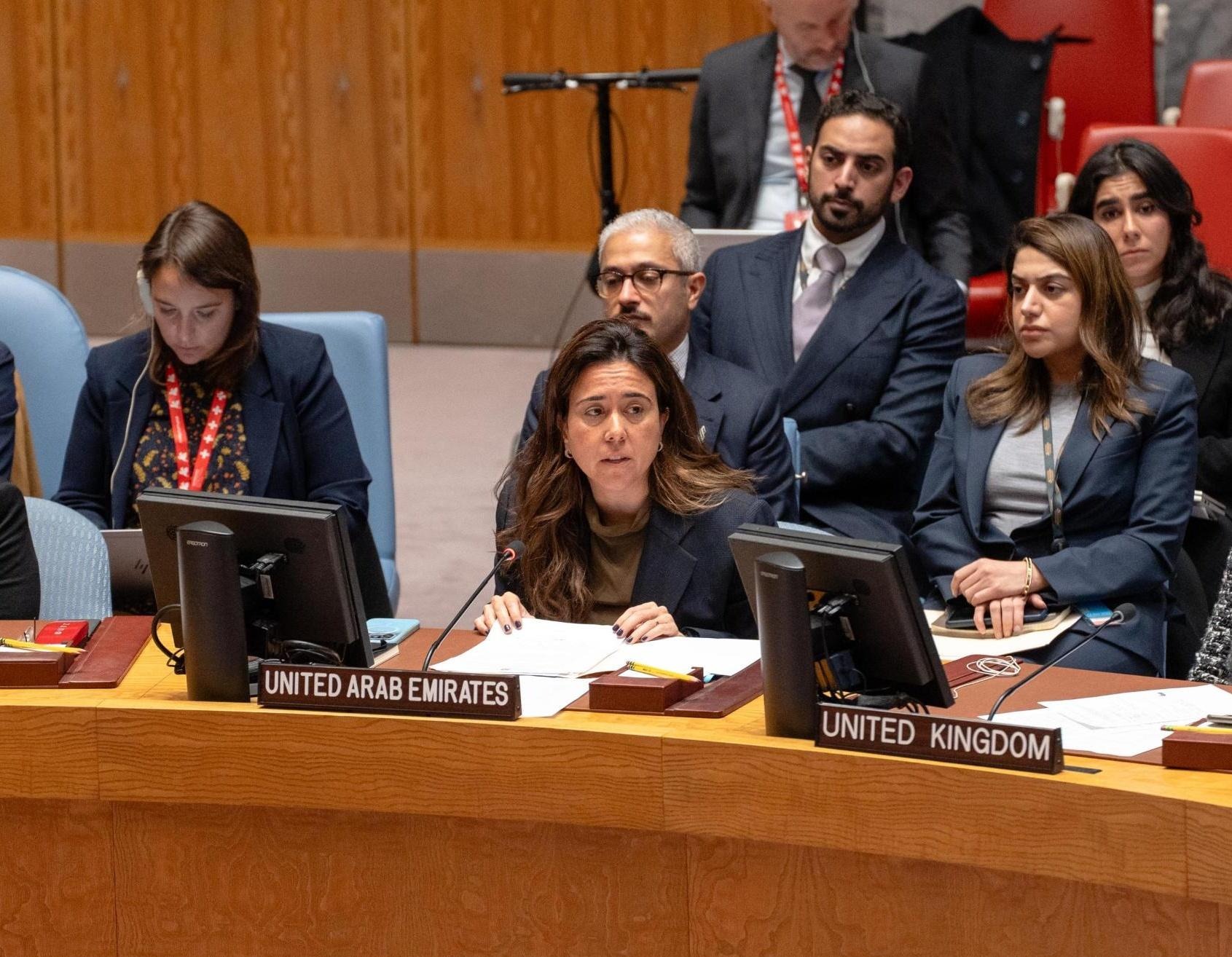 UAE Statement at the UN Security Council Meeting on the Situation in ...