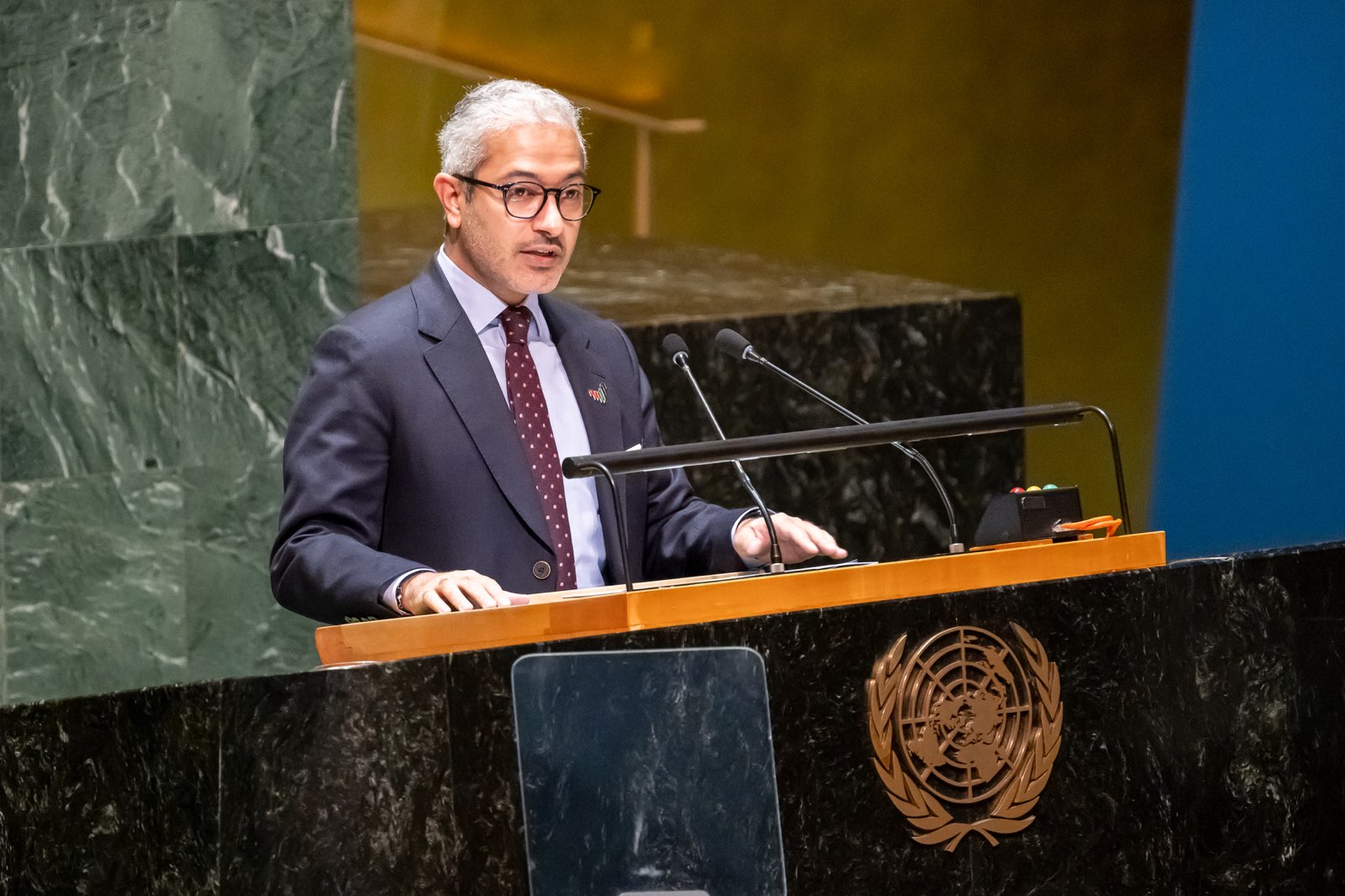 UAE Statement at the UN General Assembly Meeting on the Adoption of a ...