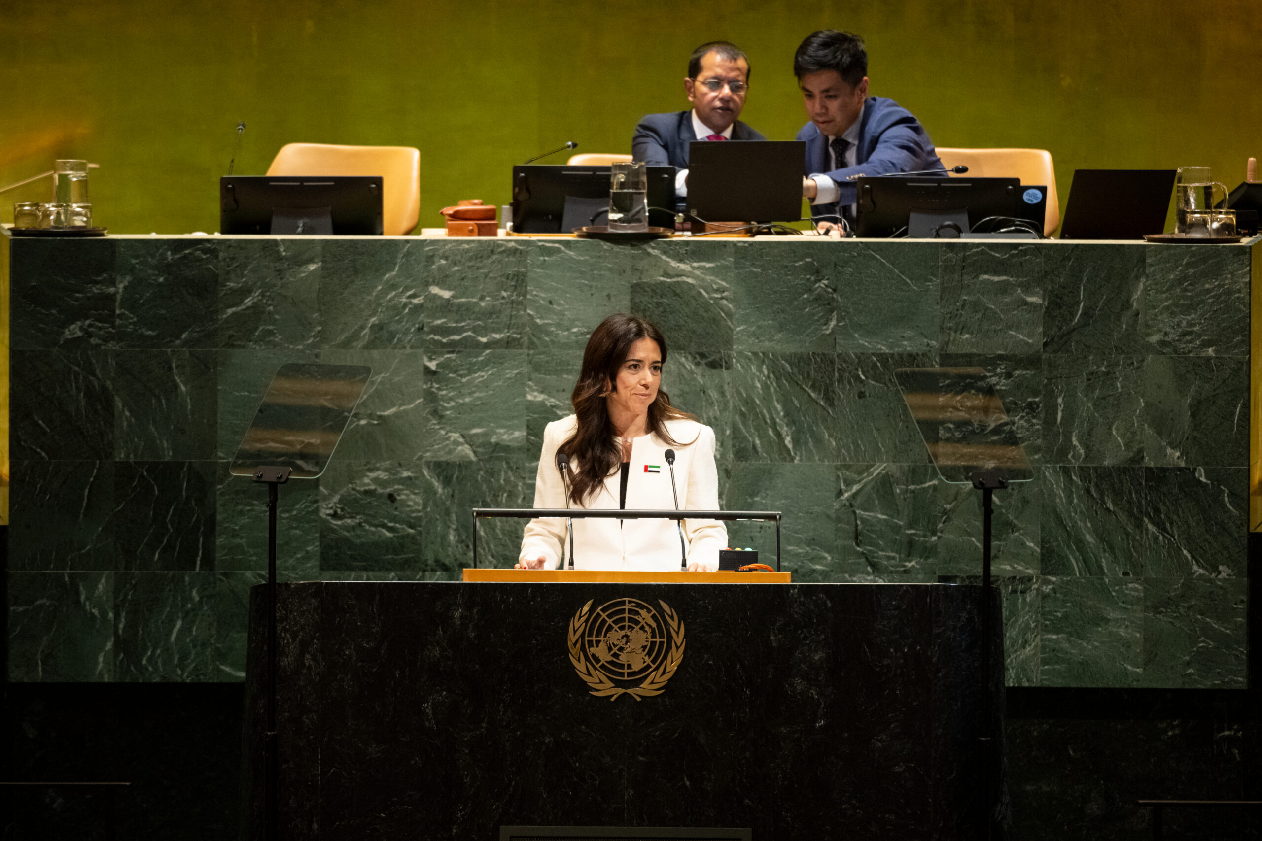 UAE Statement at the 80th Session of the United Nations General ...